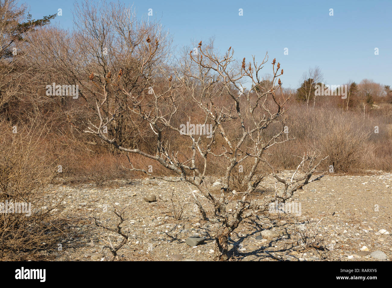 The grounds of Odiorne Point State Park in Rye, New Hampshire. Within ...