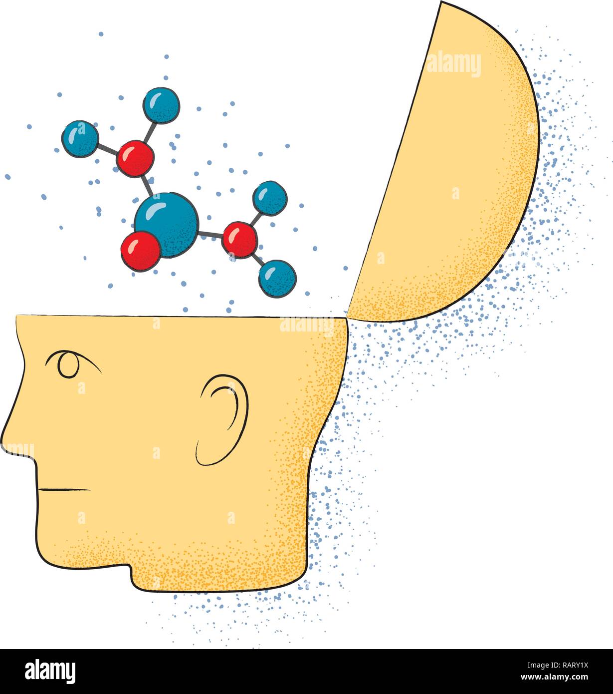 Symbolic drawing of a head and a chemistry thought Stock Vector Image ...