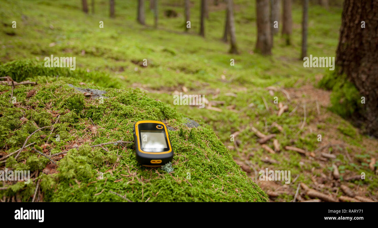 finding the right position in the forest with a gps Stock Photo - Alamy