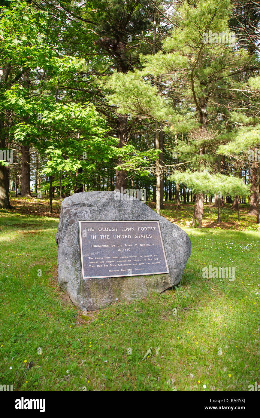 The Oldest Town Forest in the United States is located in the ...