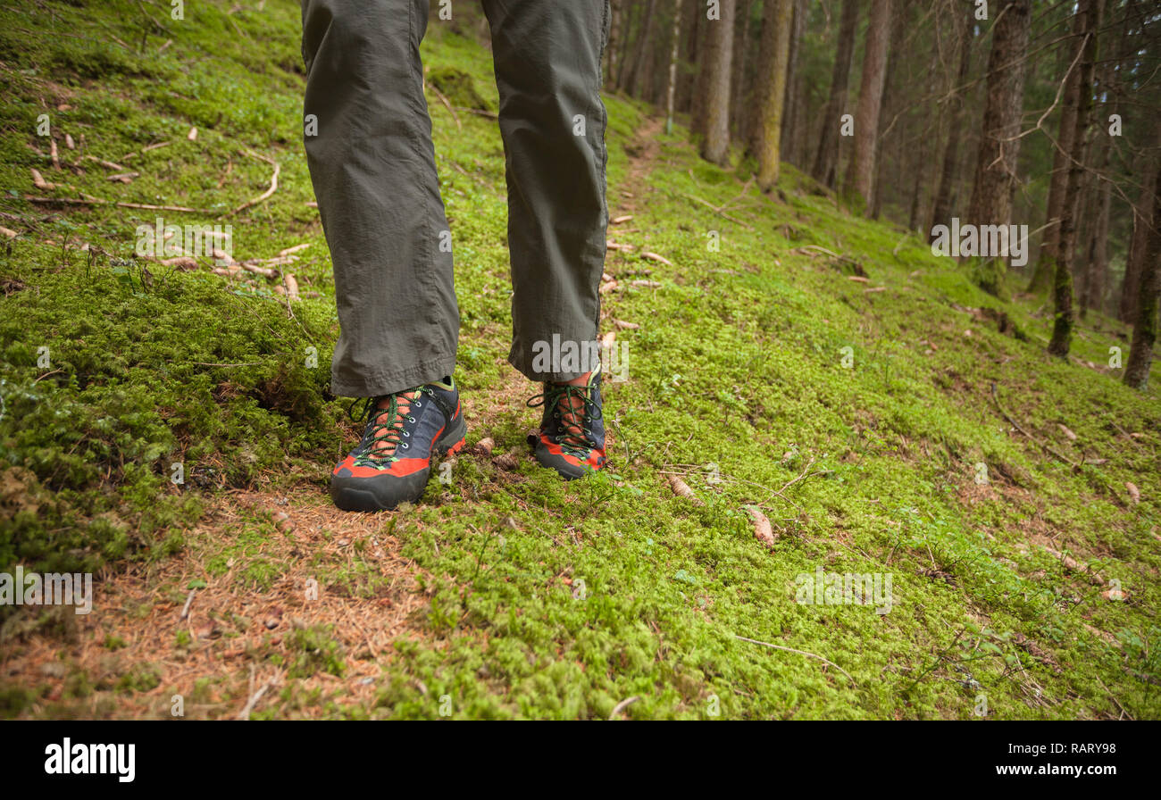 walking in the woods long a path Stock Photo - Alamy