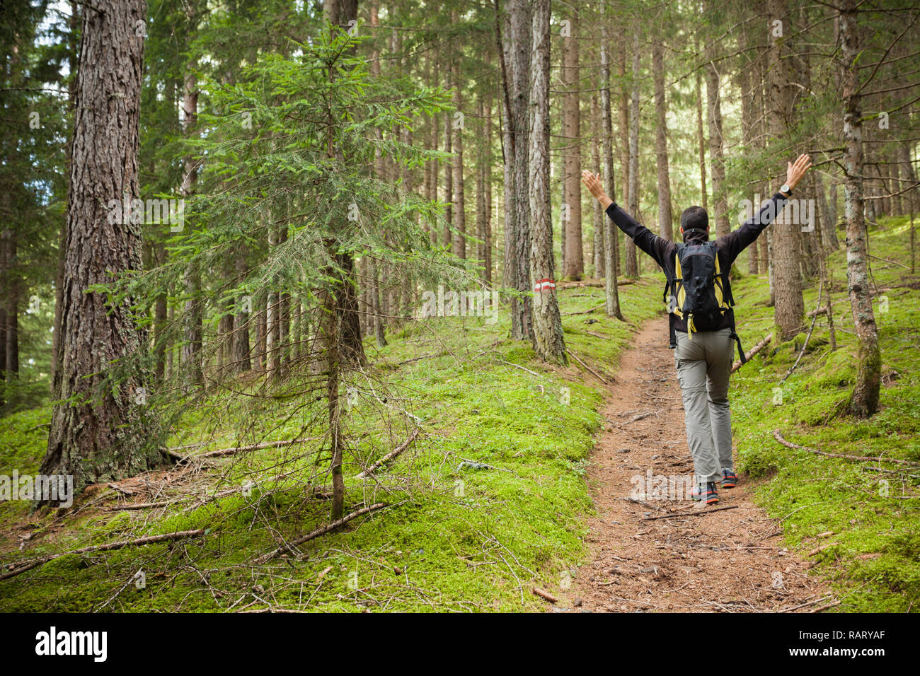walking in the woods long a path Stock Photo - Alamy