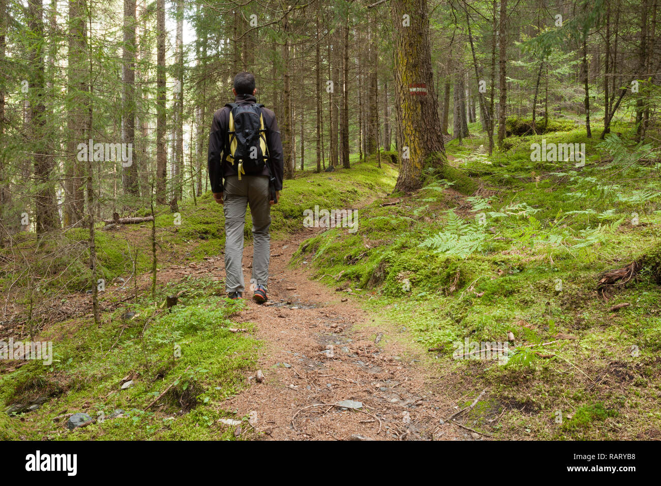 Long trekking action hi-res stock photography and images - Alamy