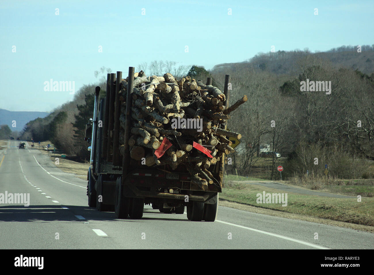 Logging truck carrying tree trunks in Tennessee, USA Stock Photo - Alamy
