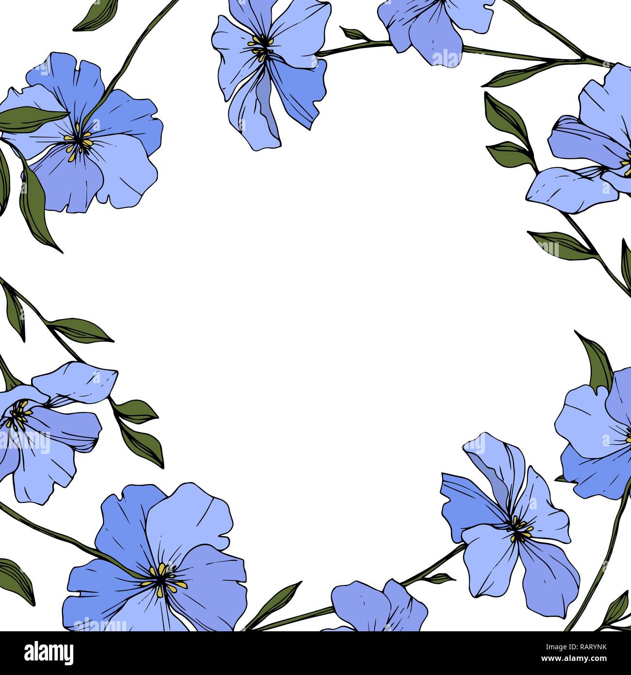 Vector. Blue flax. Floral botanical flower with green leaves. Engraved ...