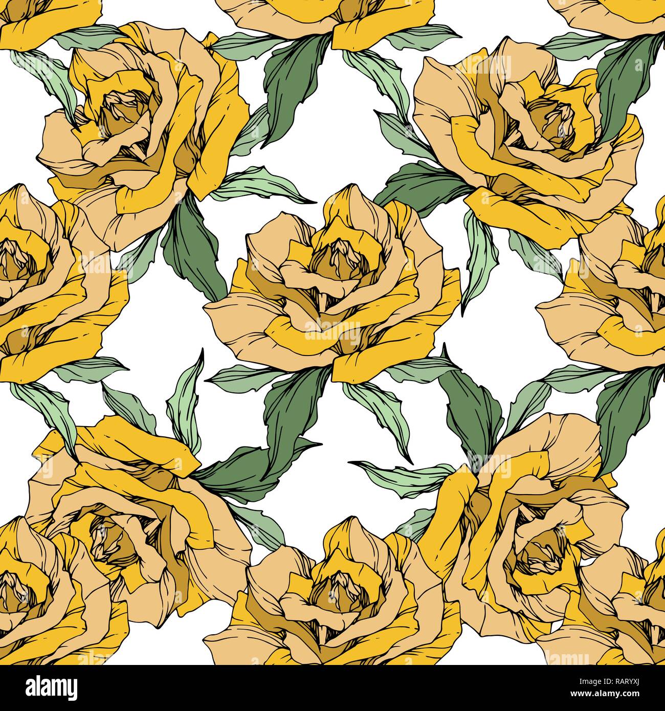 Vector Yellow rose. Floral botanical flower. Engraved ink art. Seamless ...