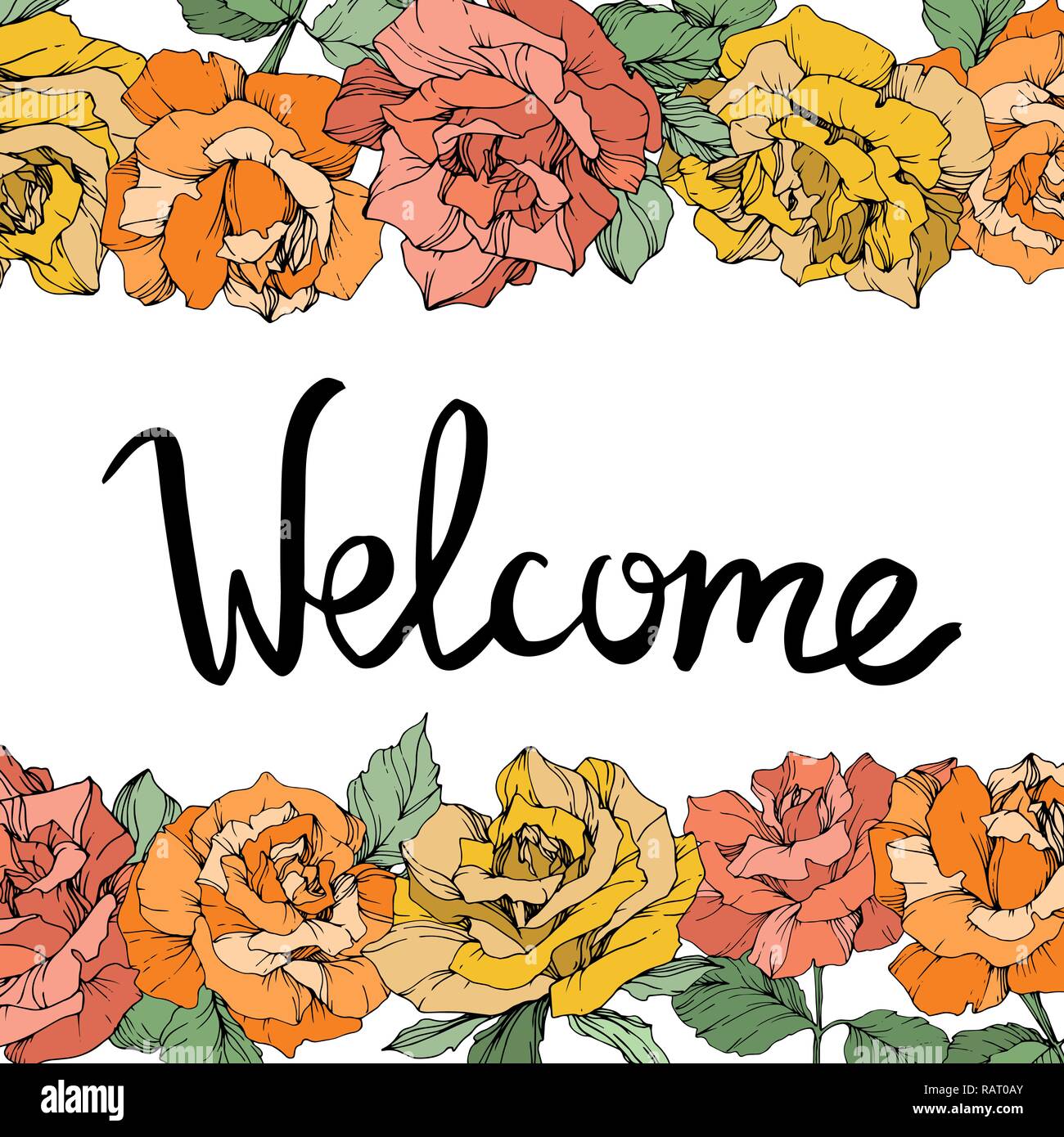 Vector Rose floral border on white background. Floral botanical flower ...