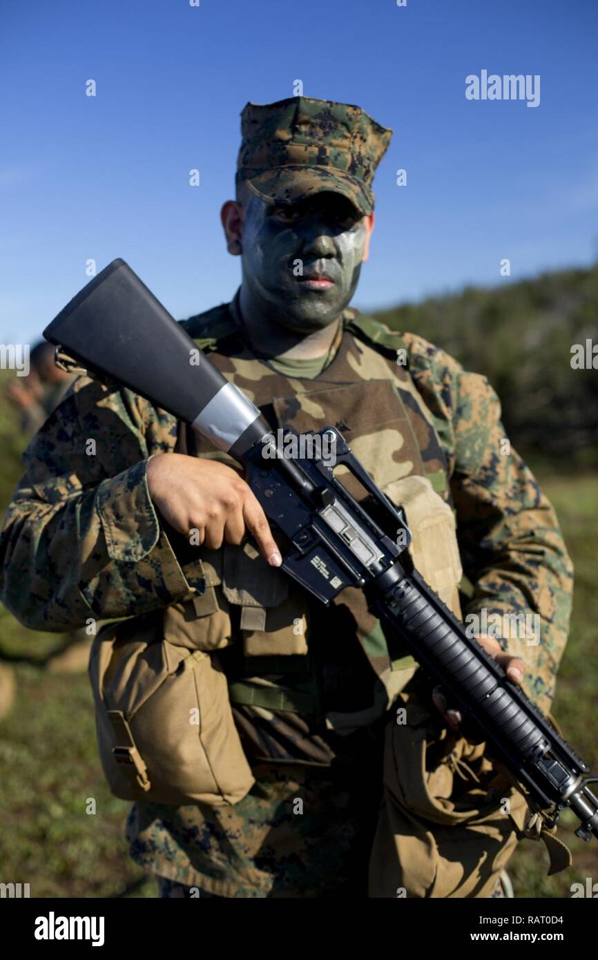 U.S. Marine Corps Lance Cpl. Fernando Rayon, an administration clerk ...