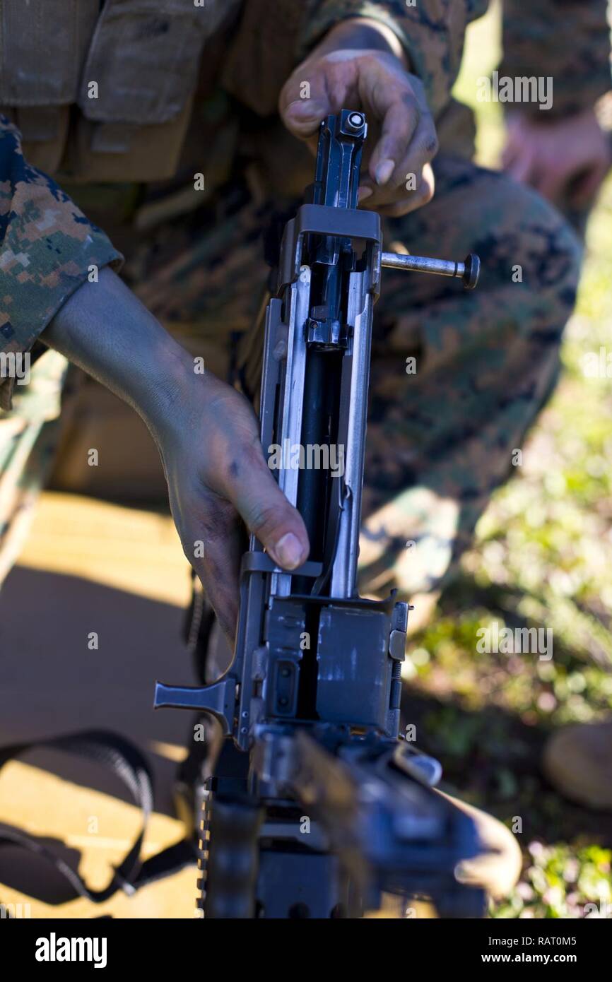 U S Marine Corps Lance Cpl Fernando Rayon An Administrative Clerk
