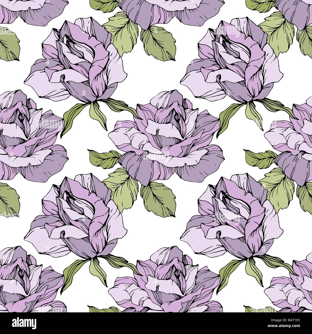 Vector Yellow rose. Floral botanical flower. Engraved ink art. Seamless ...