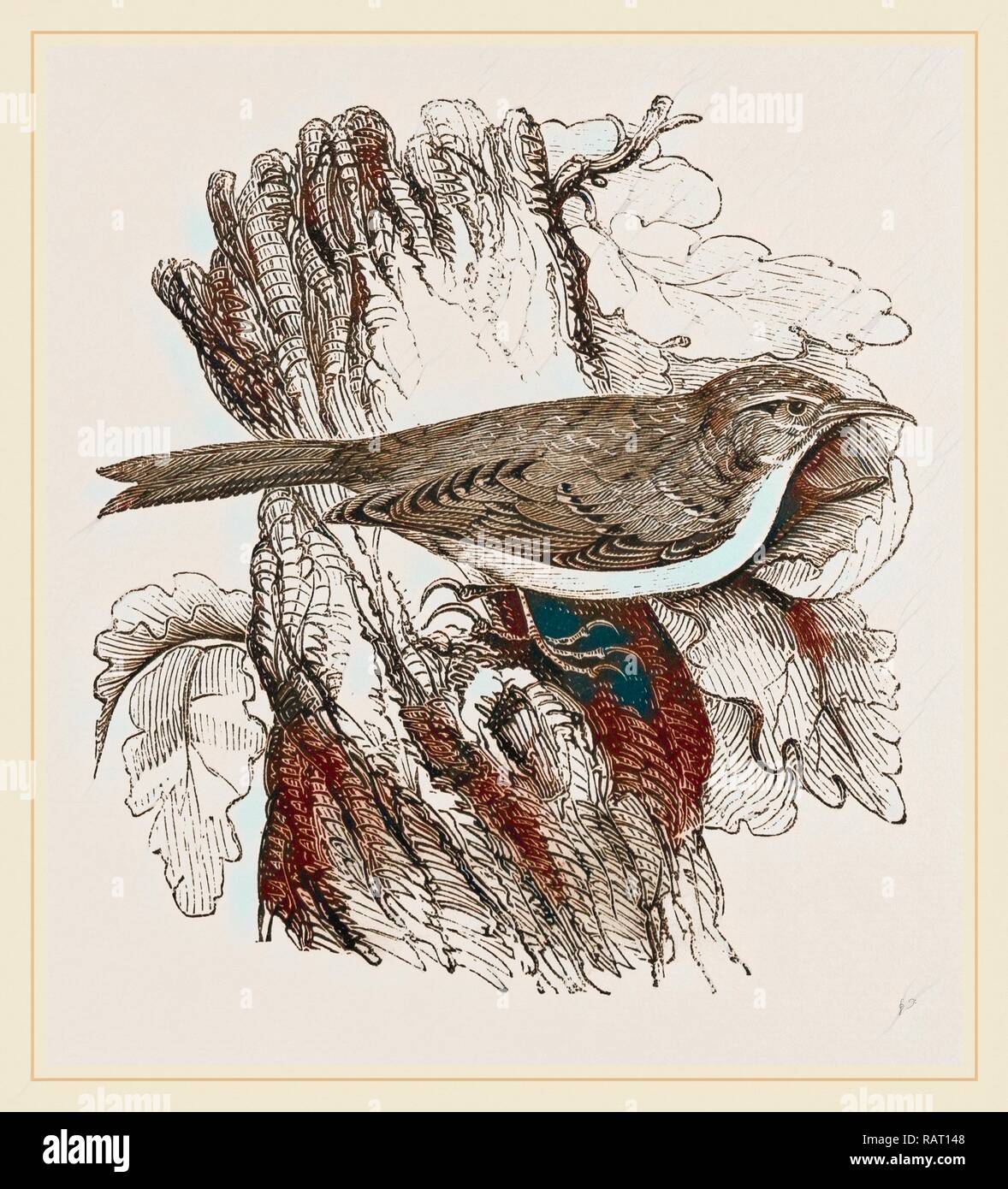 Creeper. Reimagined by Gibon. Classic art with a modern twist ...