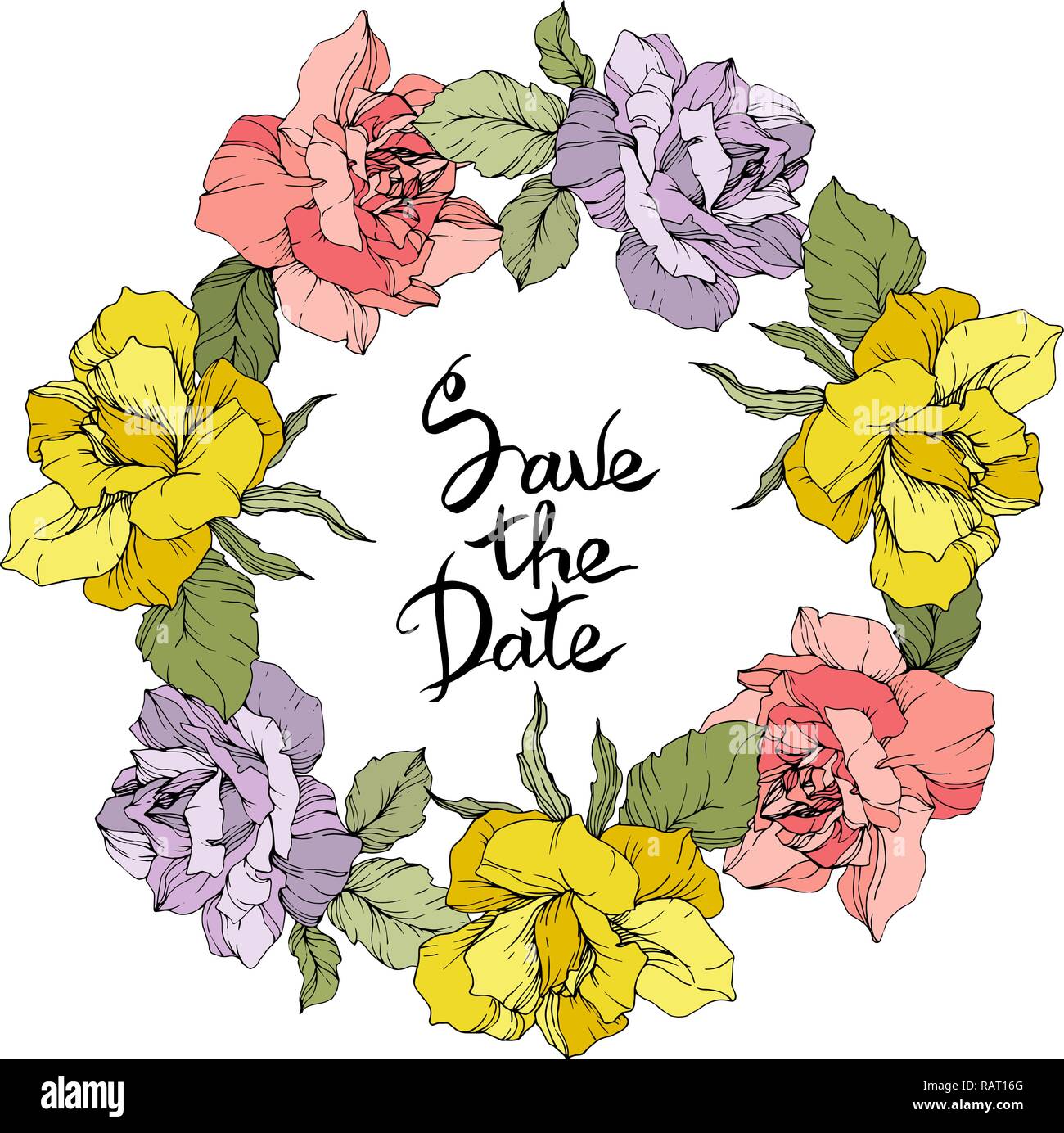 Vector Rose floral wreath. Floral botanical flower. Yellow, pink and ...