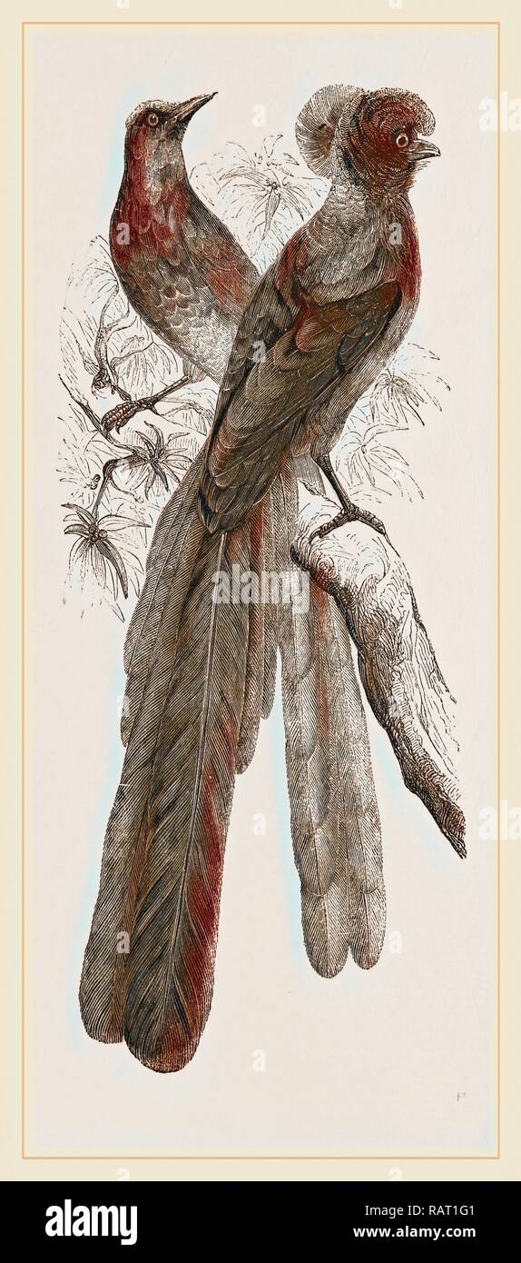 The Incomparable. Reimagined by Gibon. Classic art with a modern twist ...