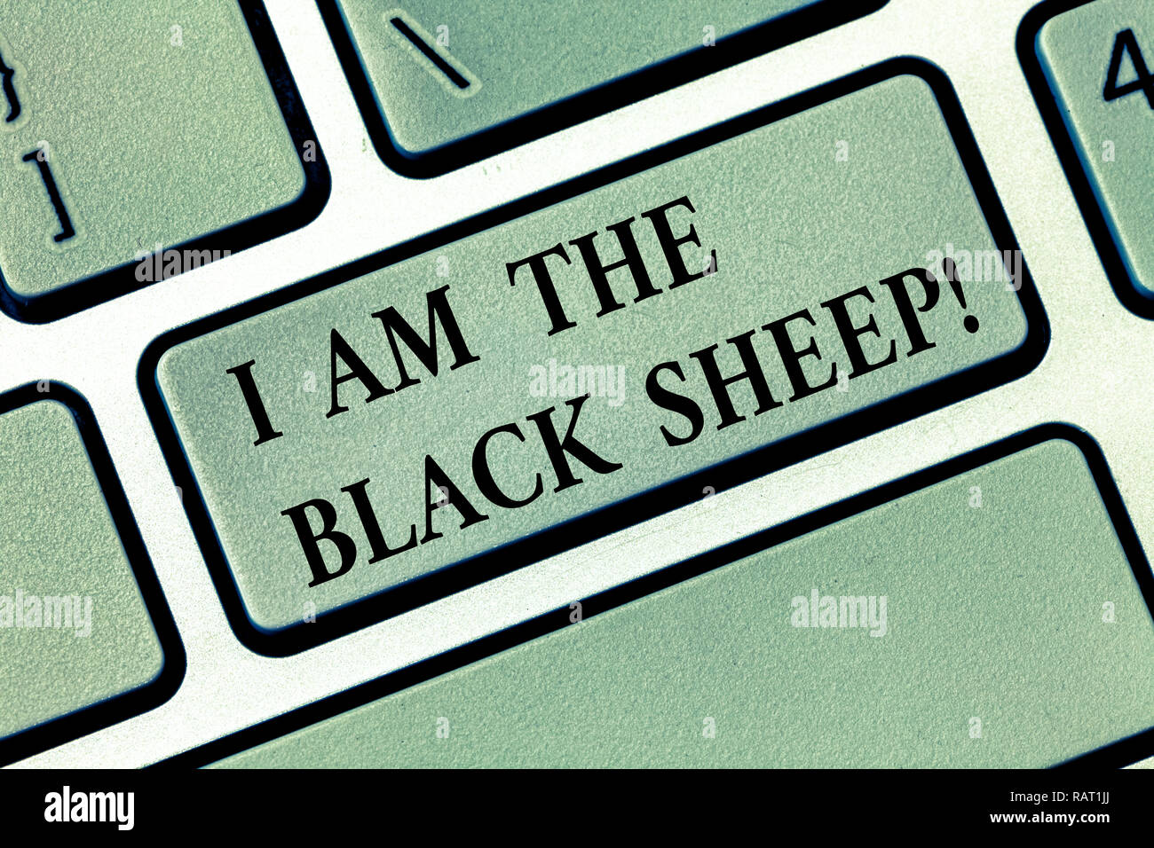 Text sign showing I Am The Black Sheep. Conceptual photo Different from ...