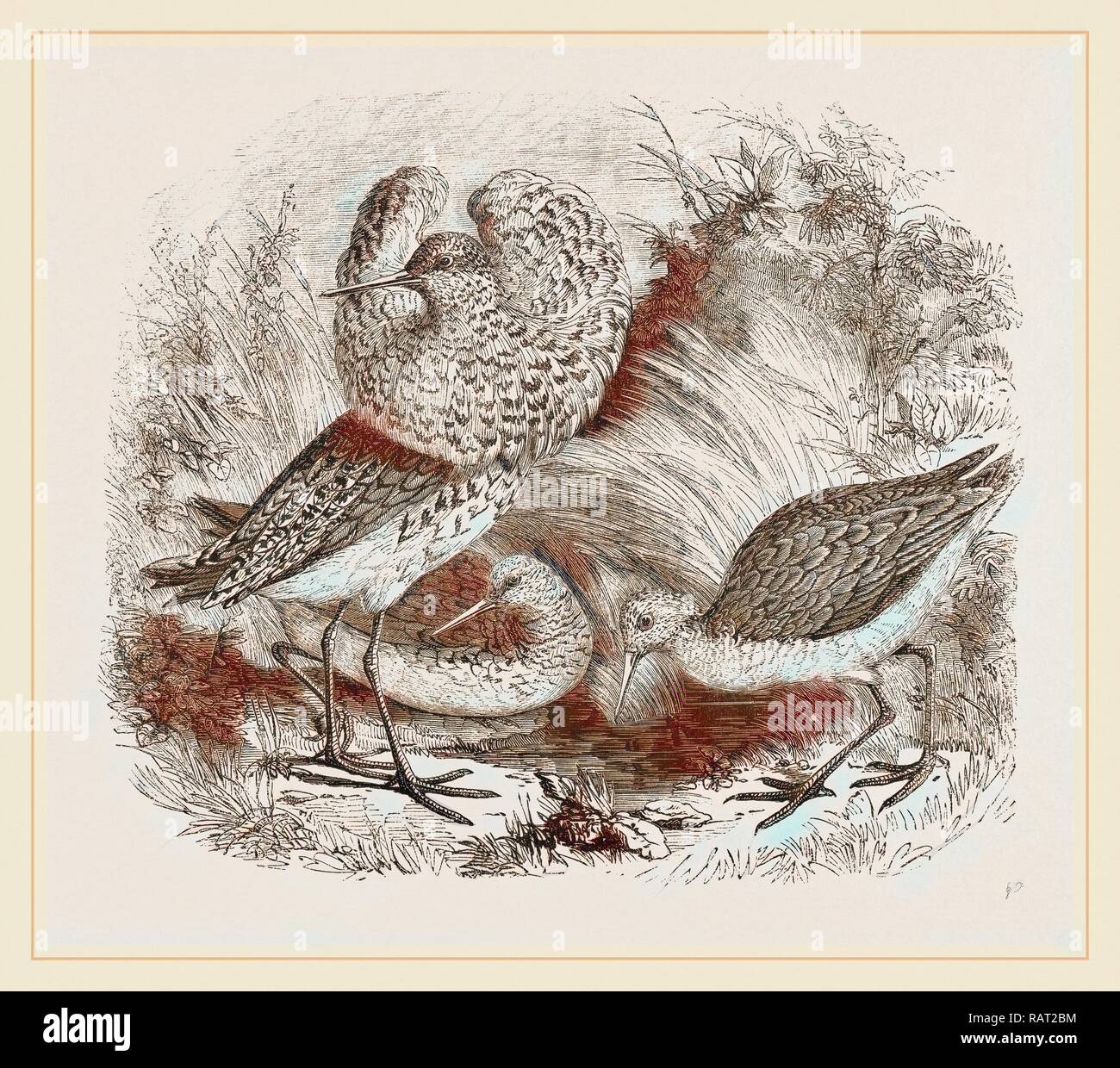 Ruff and Reeves. Reimagined by Gibon. Classic art with a modern twist ...