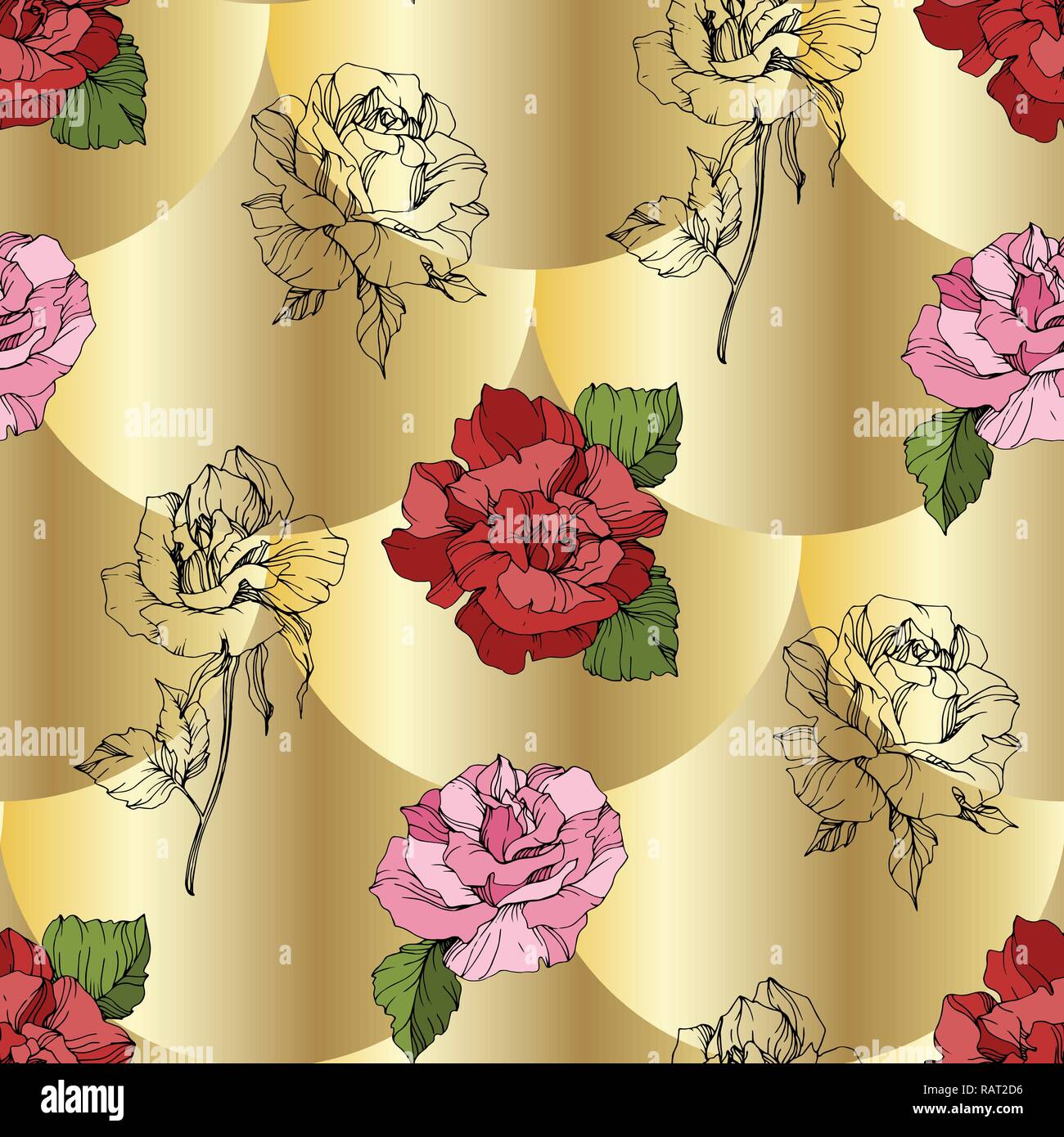 Vector Pink and red rose. Floral botanical flower. Engraved ink art ...