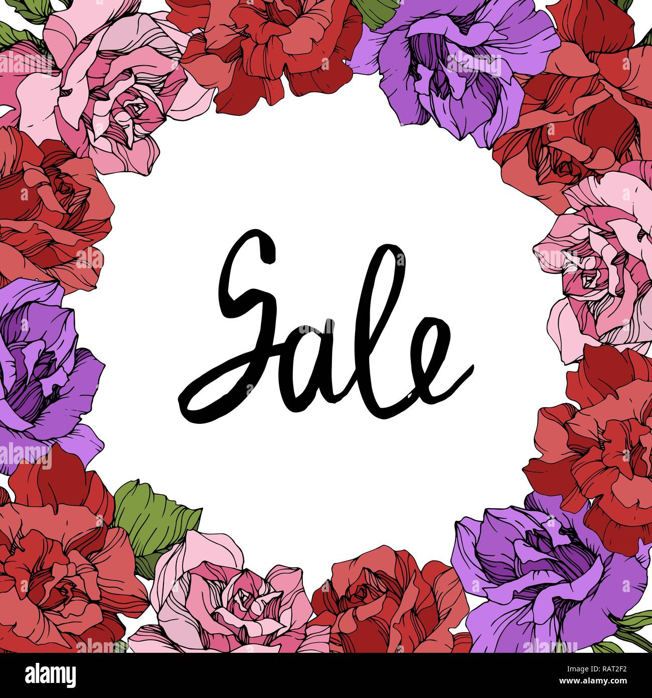 Vector Rose flower frame on white background. Floral botanical flower ...