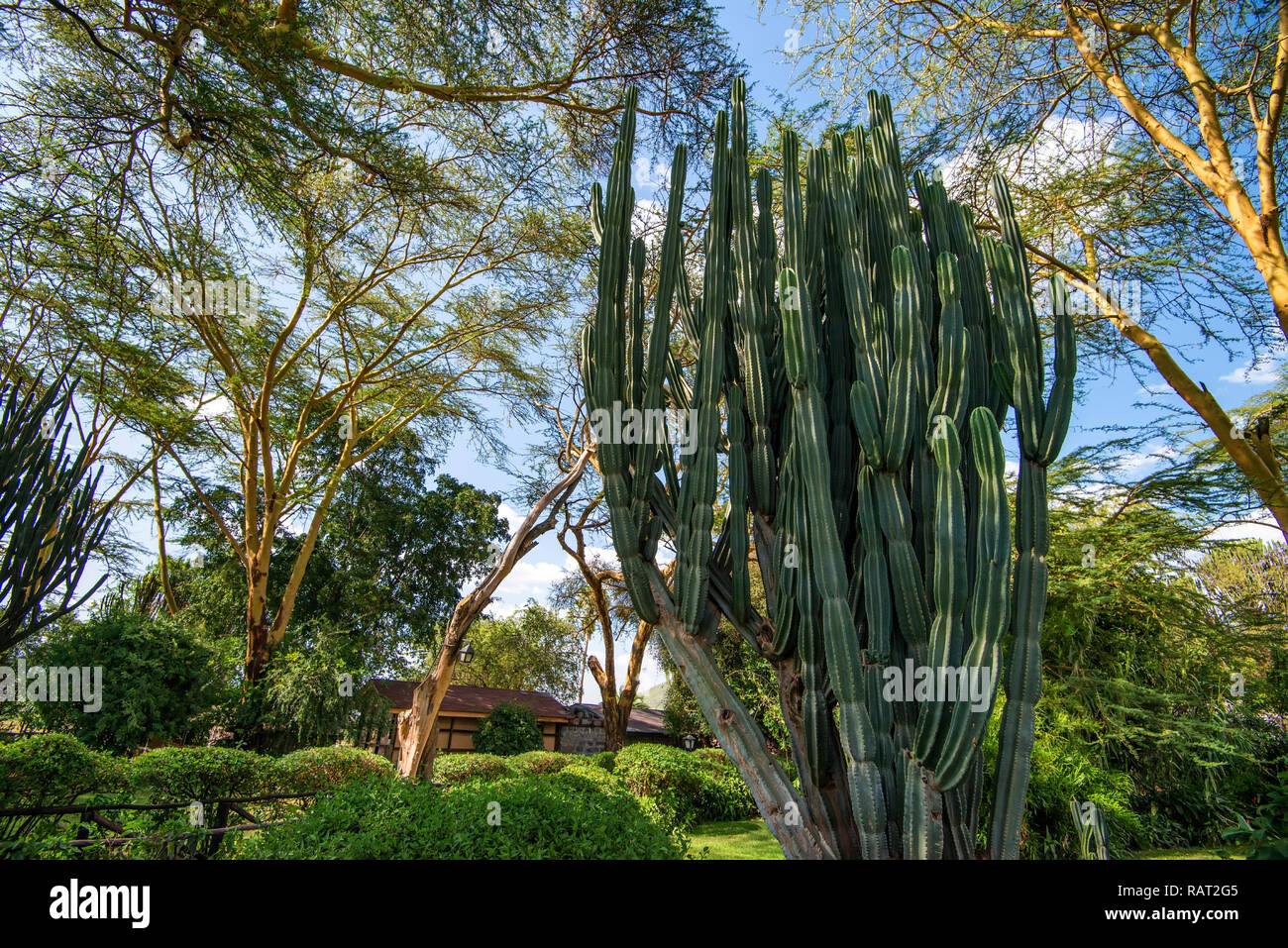 Savannah terrace hi-res stock photography and images - Alamy