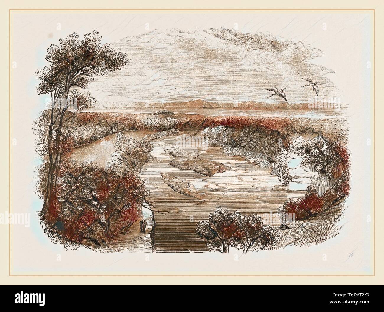 Heronry-on the river Findhorn Morayshire, County of Moray Scotland ...