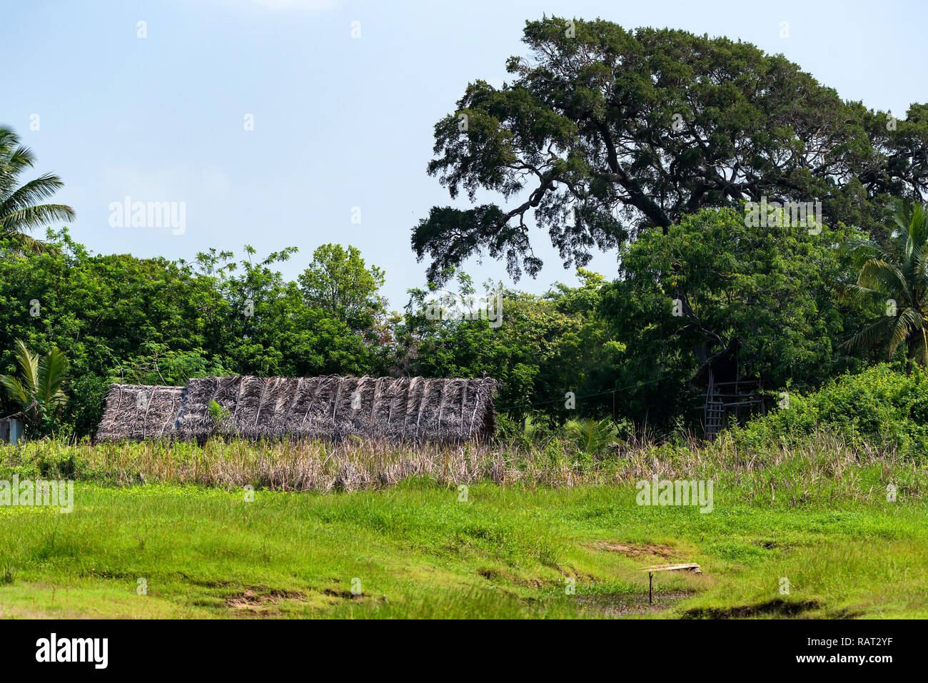 Small rural village huts in Sri Lanka Stock Photo - Alamy