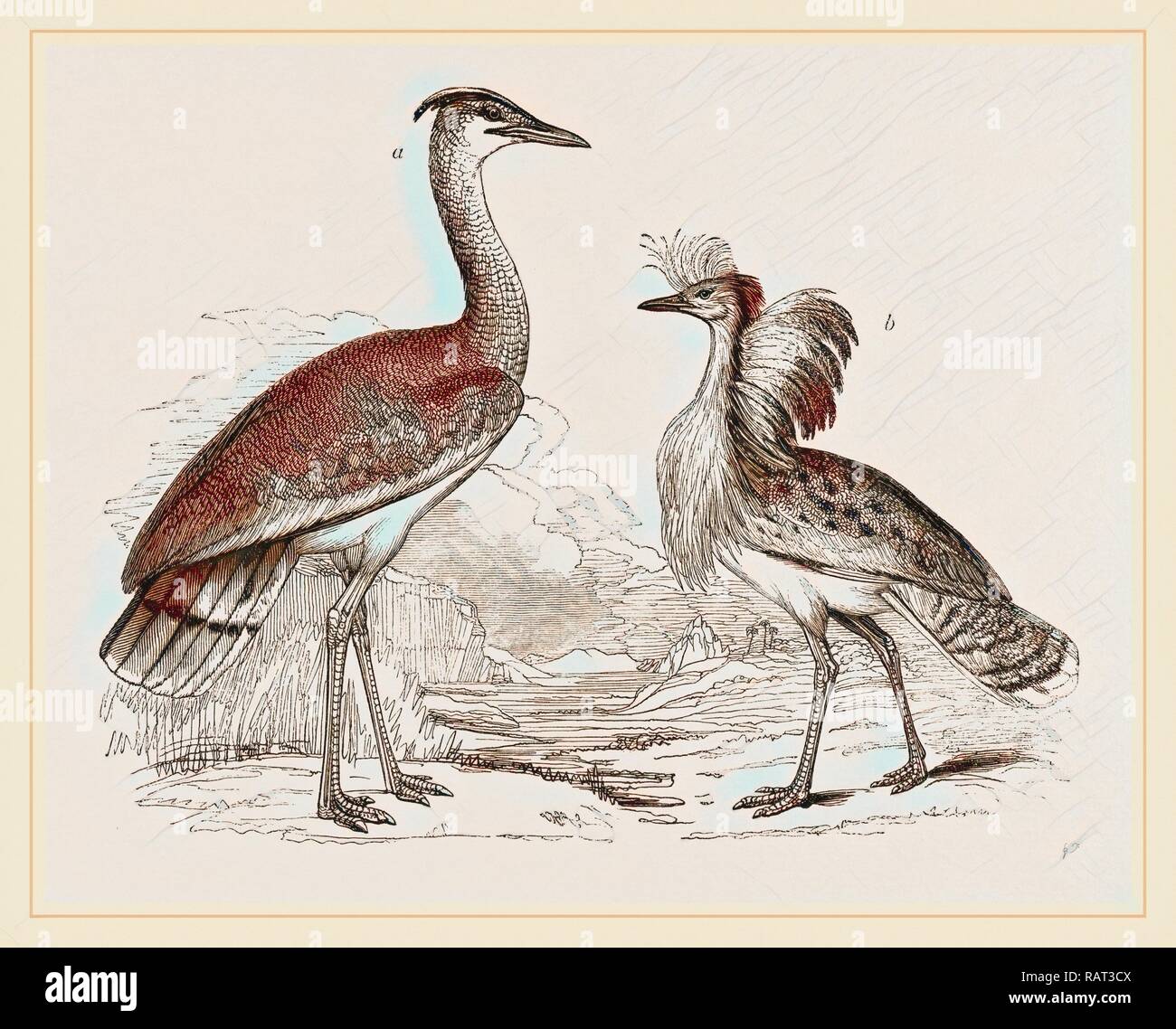 Kori Bustard and Houbara. Reimagined by Gibon. Classic art with a ...