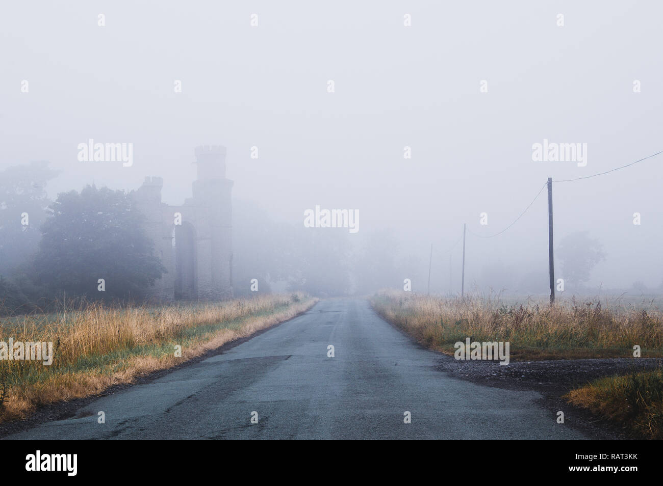 A spooky empty road on a misty moring with a ruined tower next to the ...