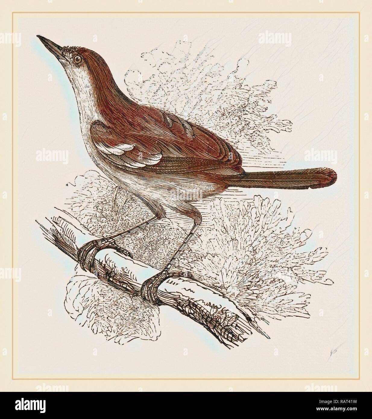 Familiar Creeper. Reimagined by Gibon. Classic art with a modern twist ...