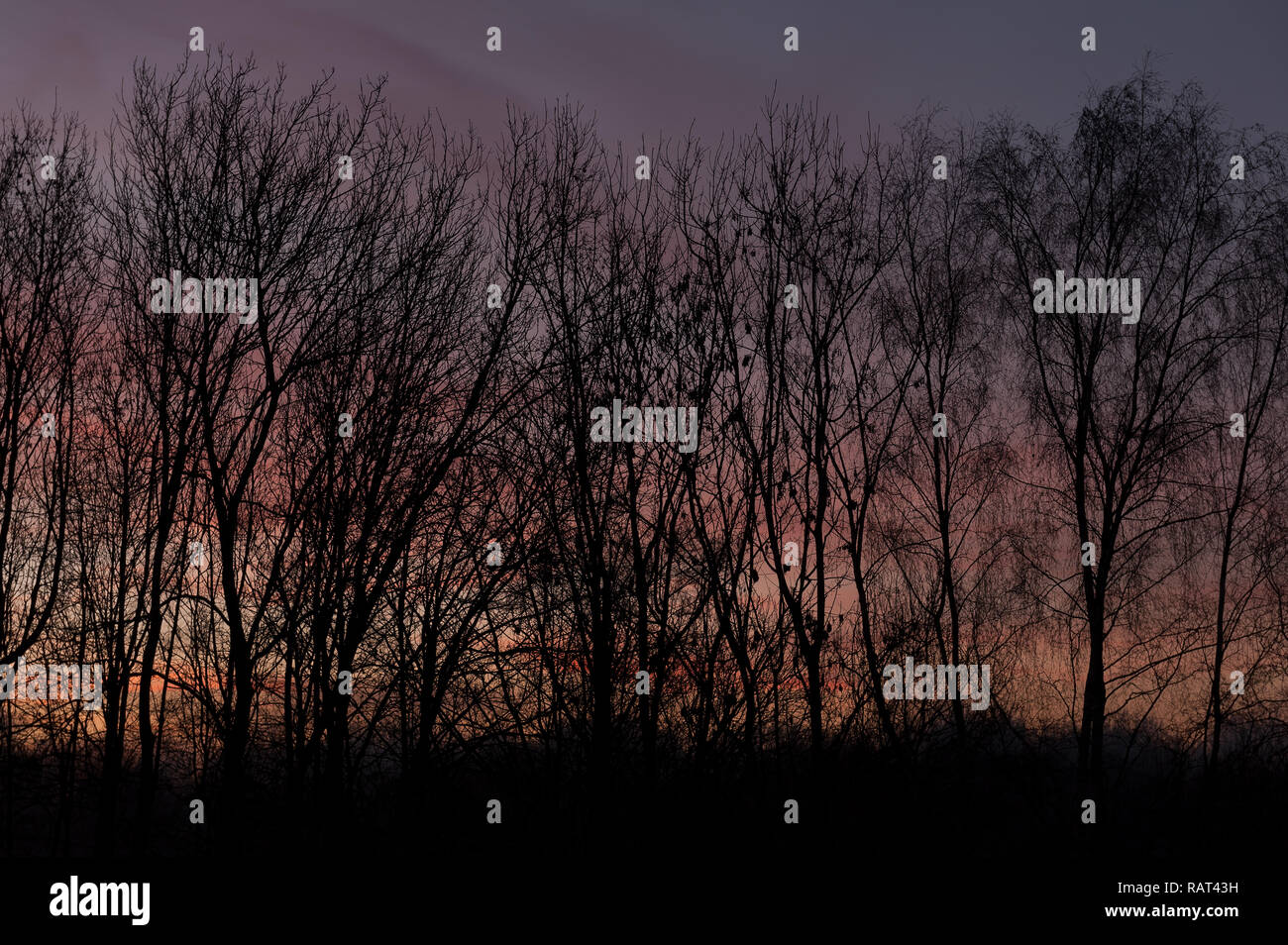 Dramatic blood red crimson sunset reflected off base of clouds against ...