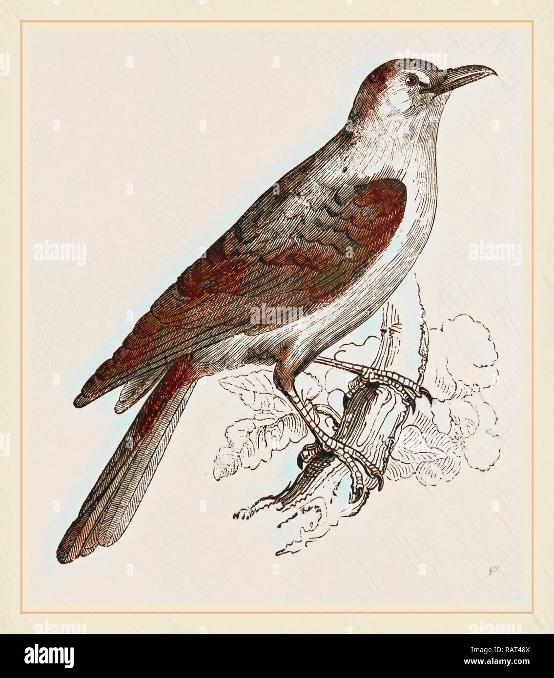 Green Leptosome. Reimagined by Gibon. Classic art with a modern twist ...