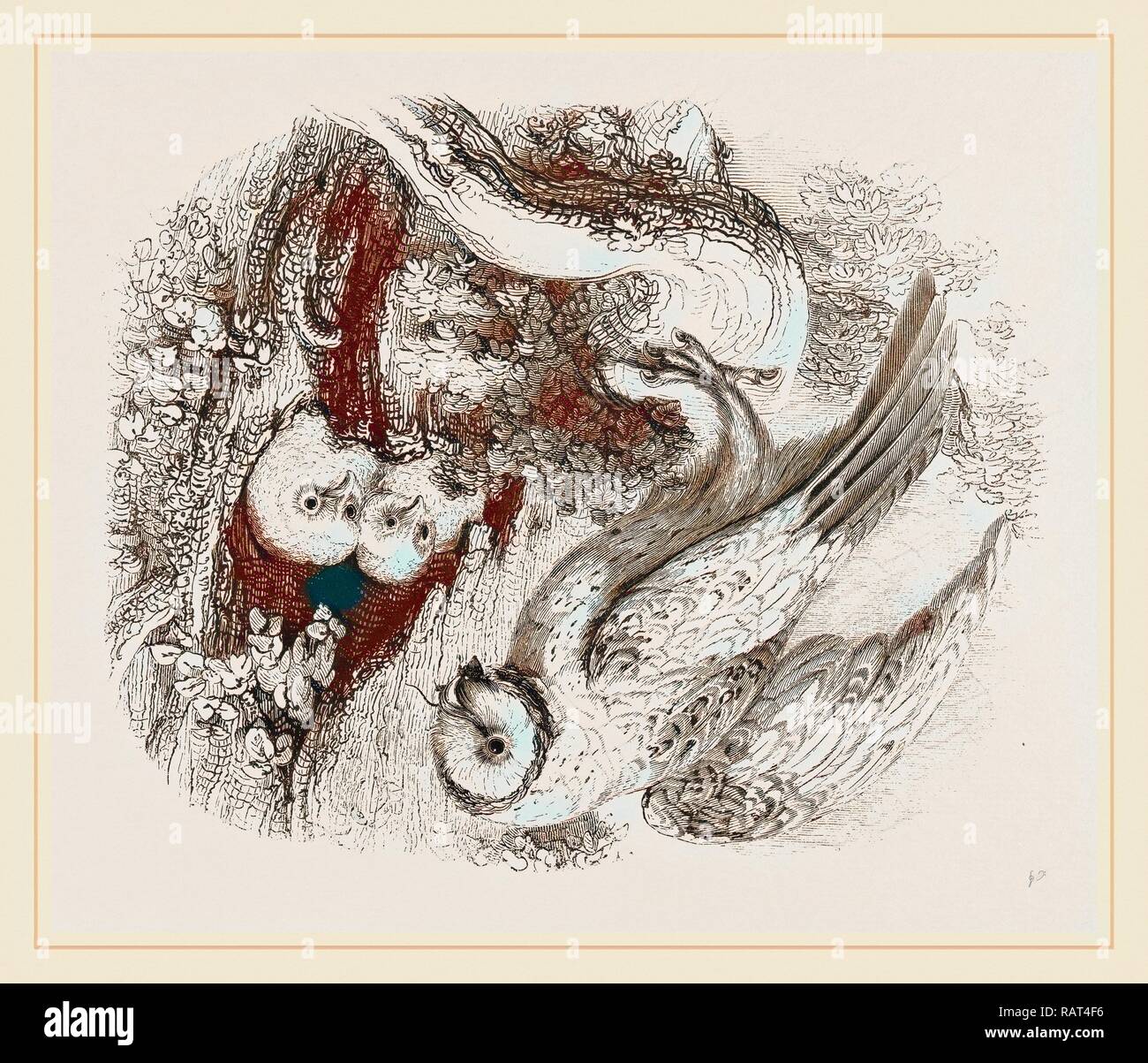 Barn Owl. Reimagined by Gibon. Classic art with a modern twist ...