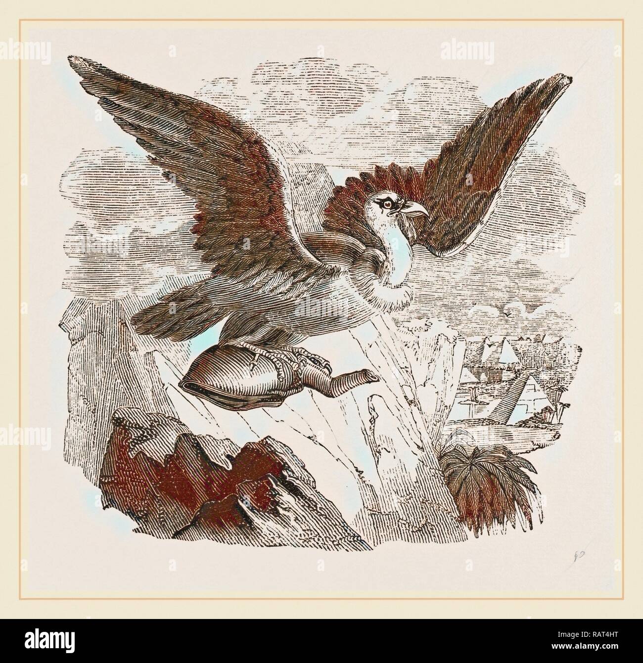 Griffon Vulture. Reimagined by Gibon. Classic art with a modern twist ...