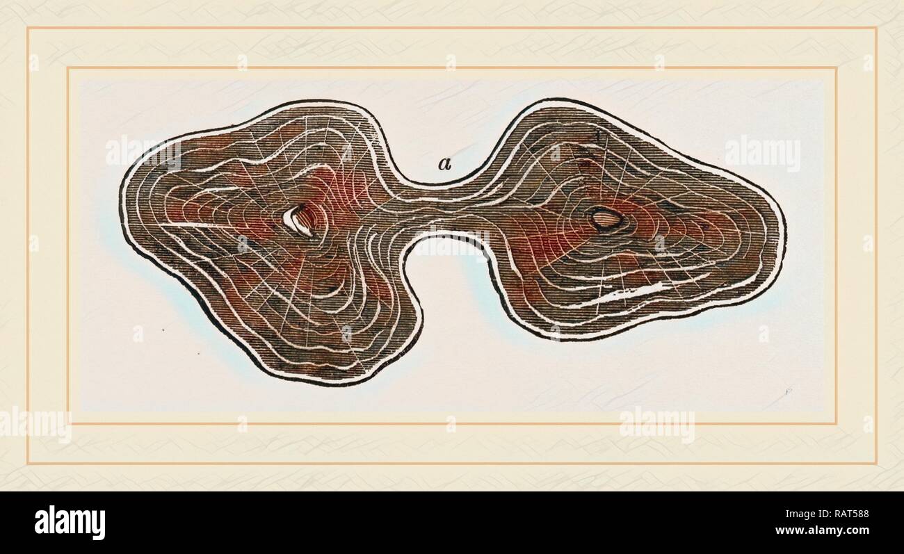 Fossil Teeth of Zeuglodon. Reimagined by Gibon. Classic art with a ...