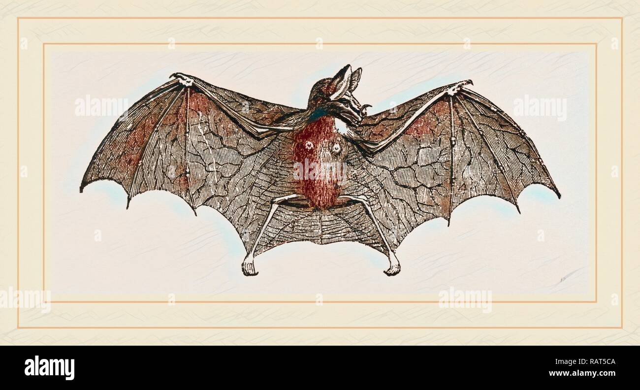 Vampire-Bat. Reimagined by Gibon. Classic art with a modern twist ...