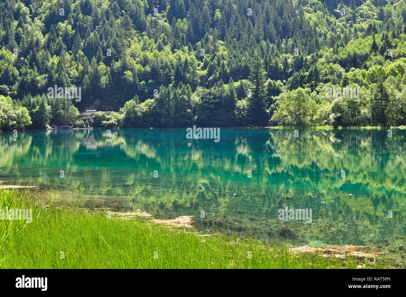 Blue green lake Stock Photo - Alamy