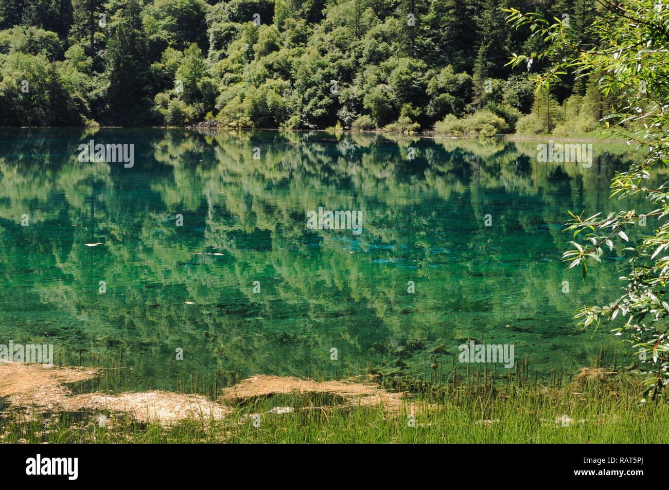 Blue green lake Stock Photo - Alamy