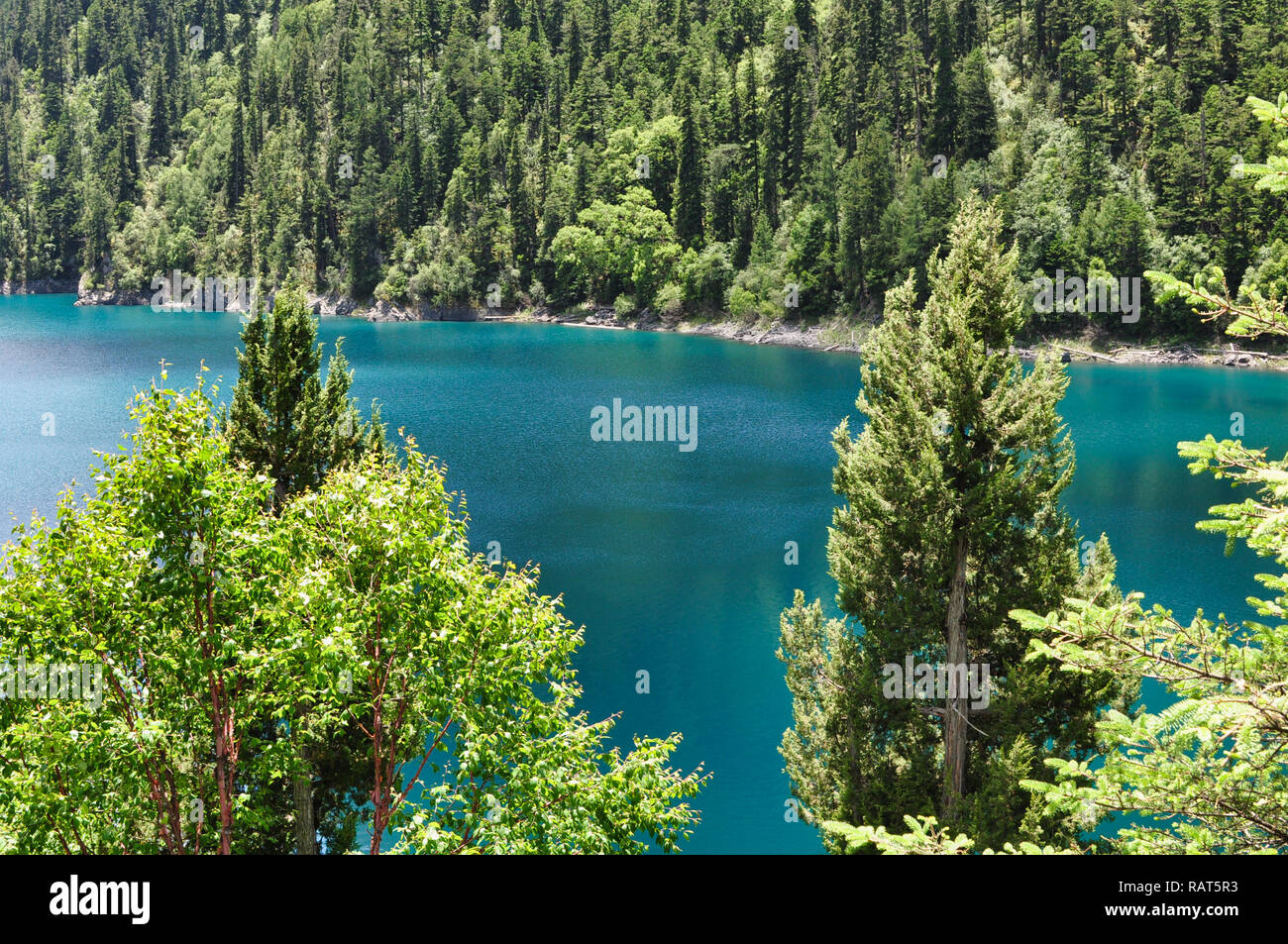 Blue green lake Stock Photo - Alamy