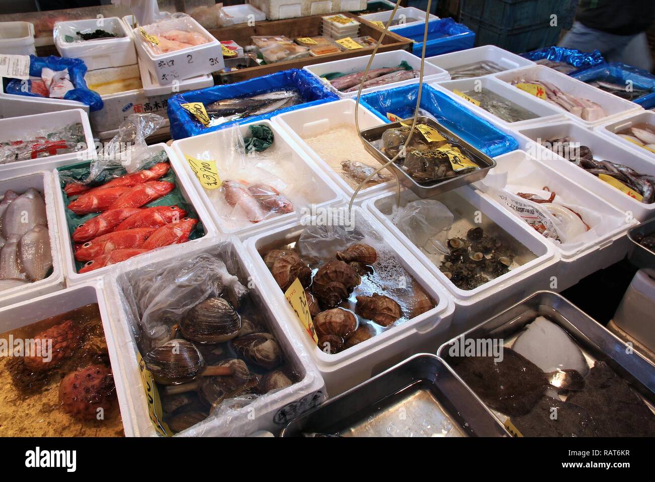 TOKYO, JAPAN - MAY 11, 2012: Seafood choice at famous Tsukiji Fish ...