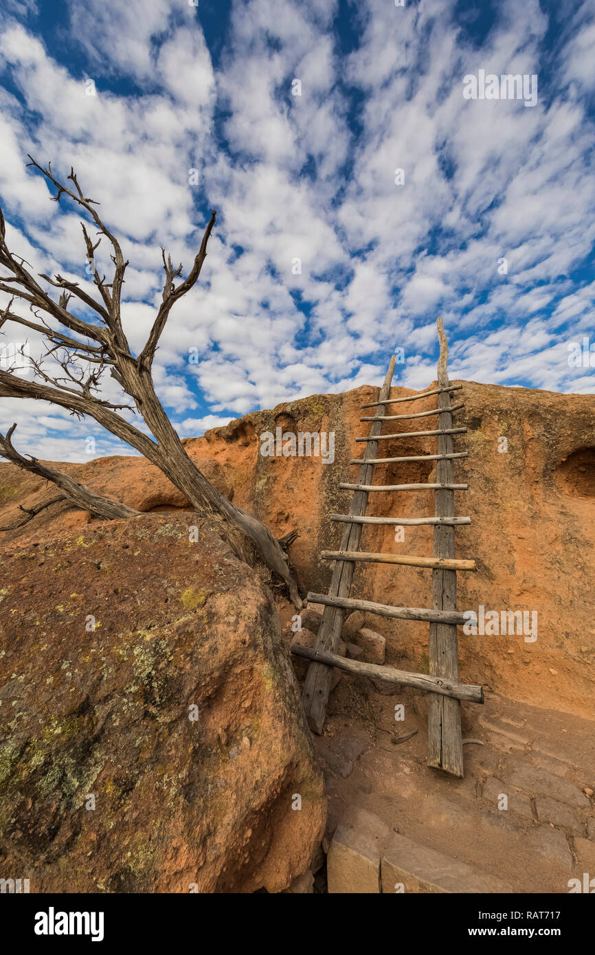 Wooden ladder reminiscent of a prehistoric ladder the Tsankawi ...