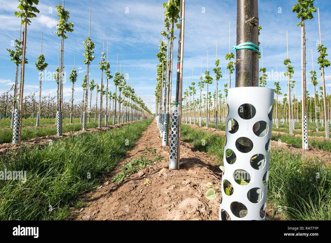 Perspective lines hi-res stock photography and images - Alamy