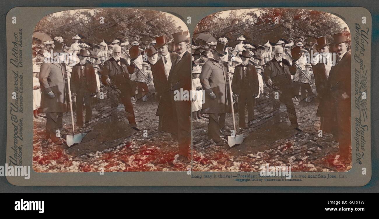 Long may it thrive! - President Roosevelt plants a tree near San Jose ...