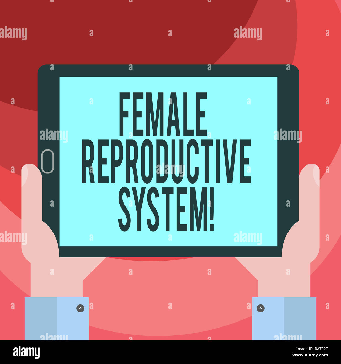 Text sign showing Female Reproductive System. Conceptual photo ...