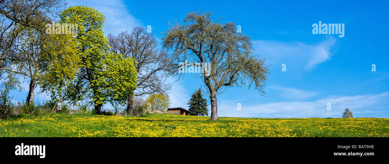 Blumenwiese panorama hi-res stock photography and images - Alamy