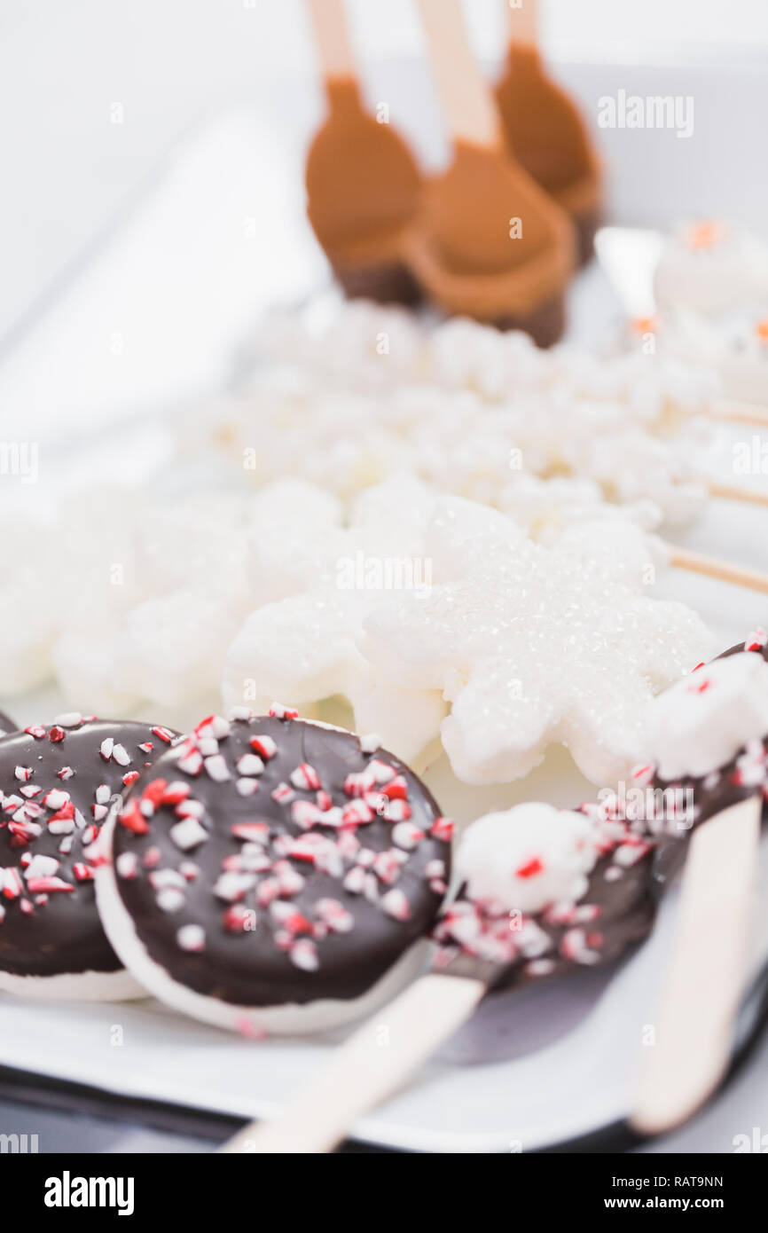 Close up view. Variety of marshmallow toppings with peppermint and ...