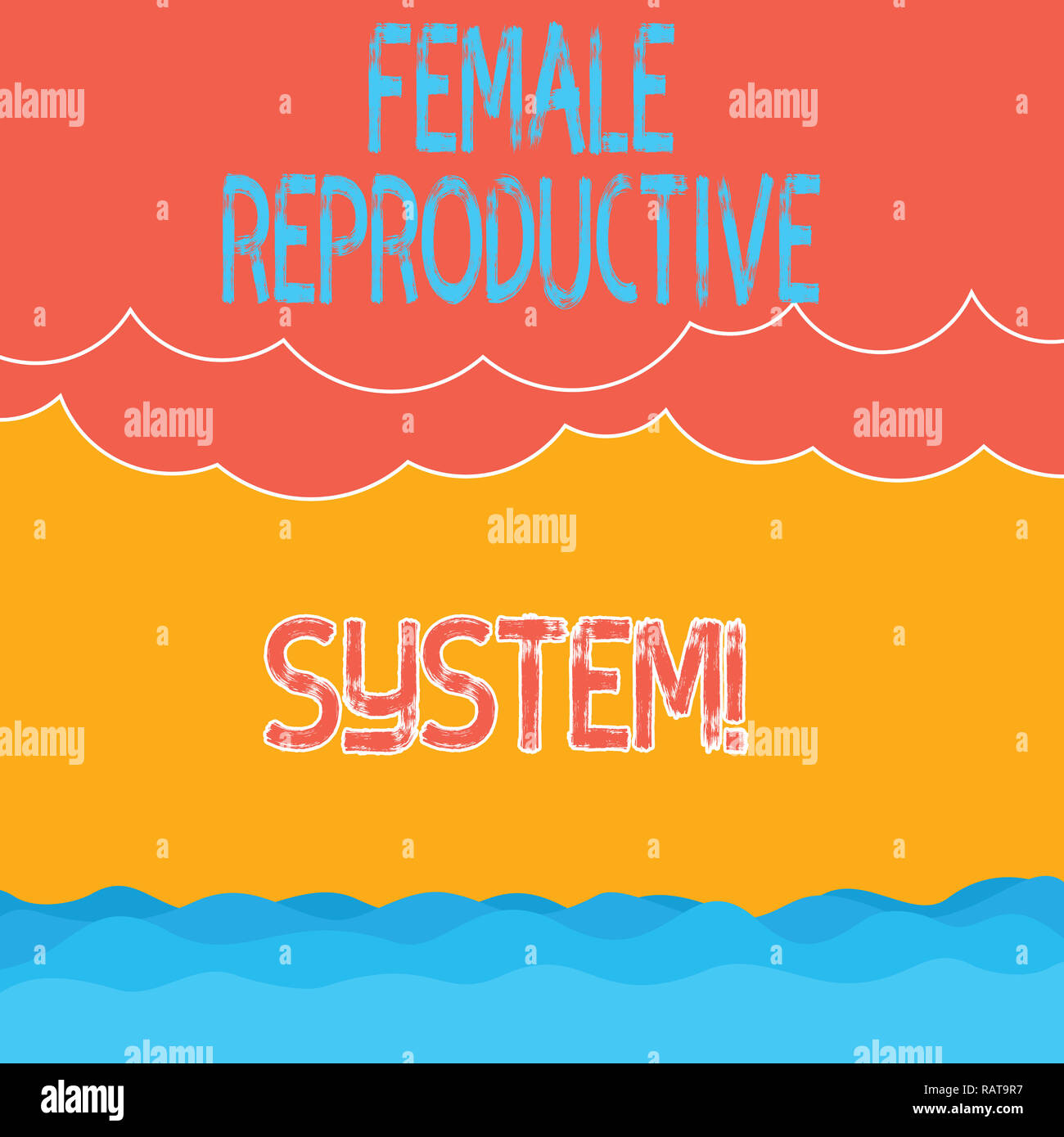 Text sign showing Female Reproductive System. Conceptual photo ...