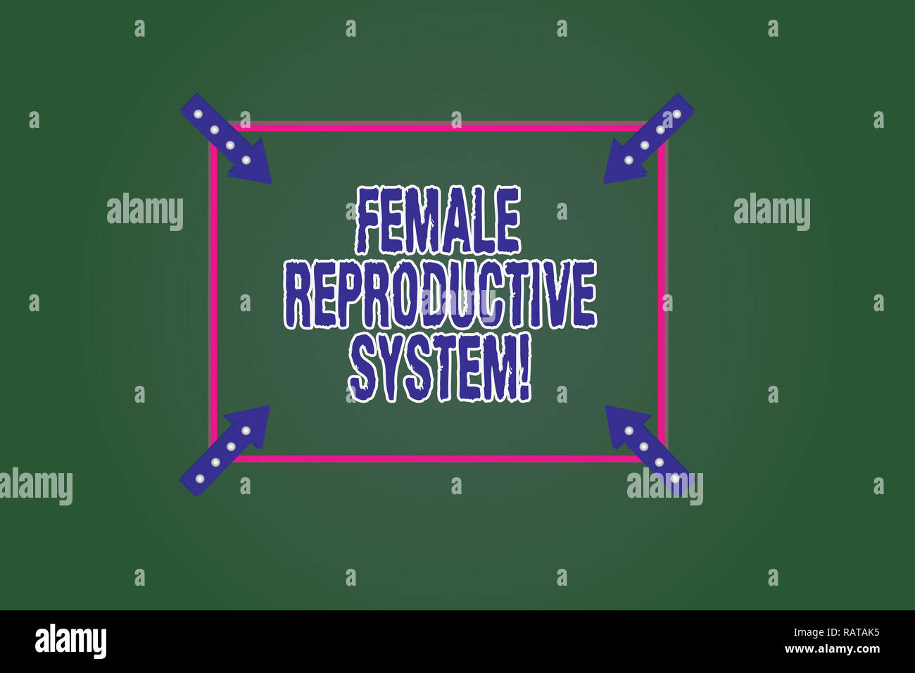 Conceptual hand writing showing Female Reproductive System. Business ...