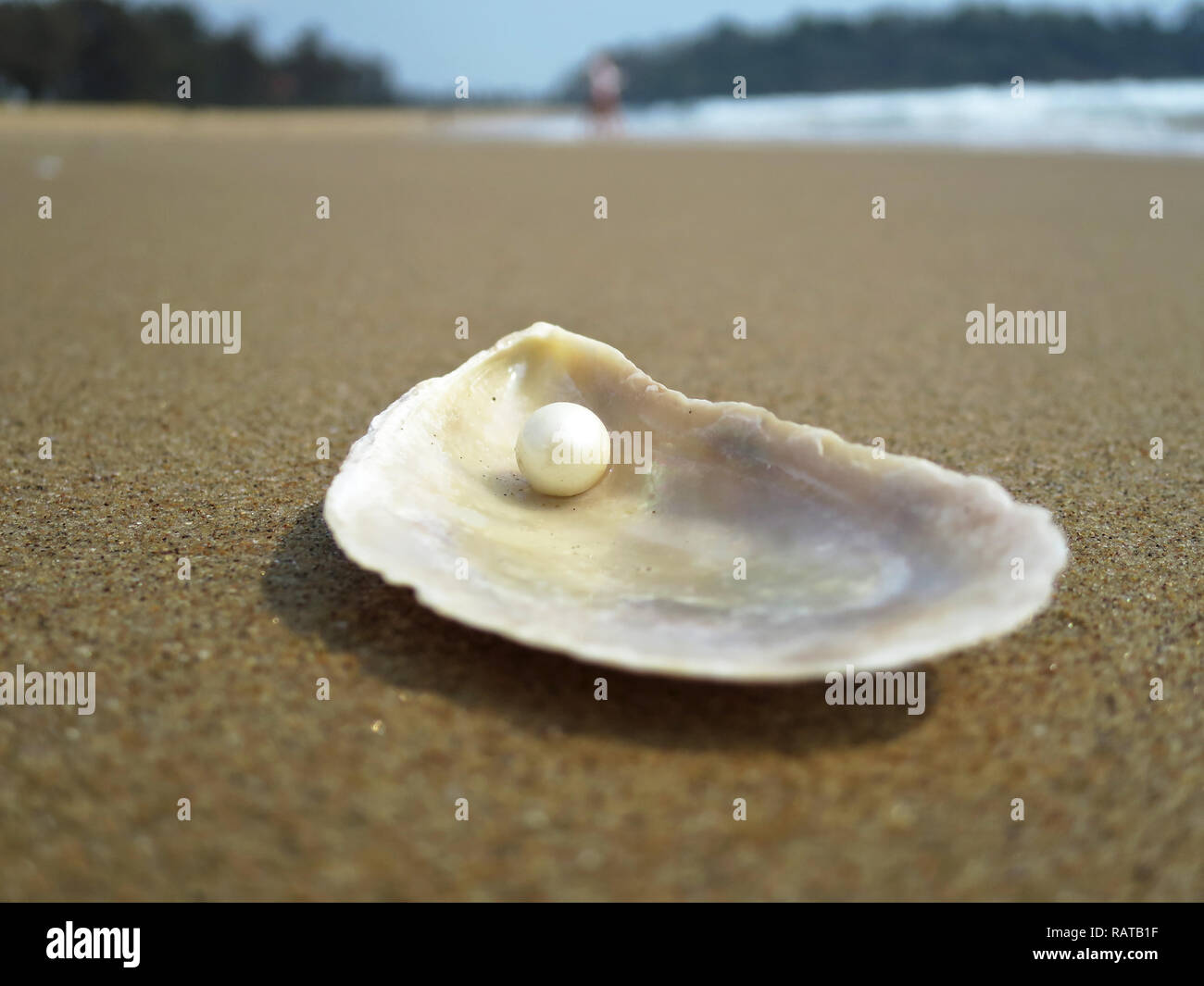 India sea pearl hi-res stock photography and images - Alamy