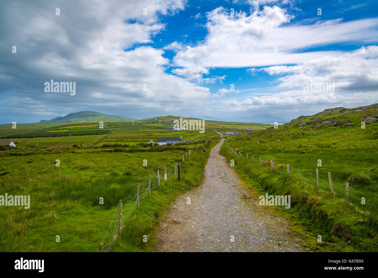 Bray head hi-res stock photography and images - Alamy