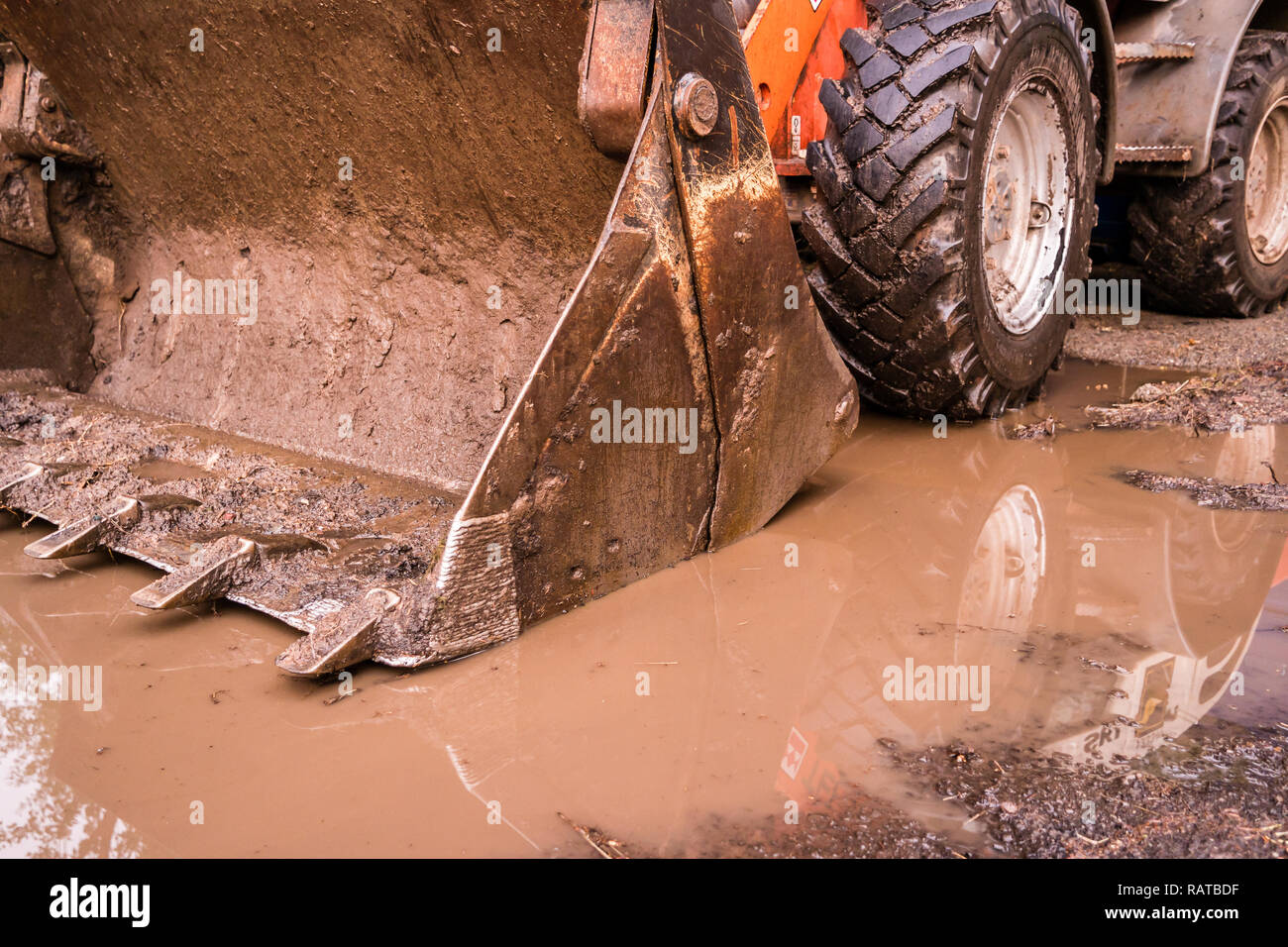 Wheel loader in the mud Stock Photo - Alamy