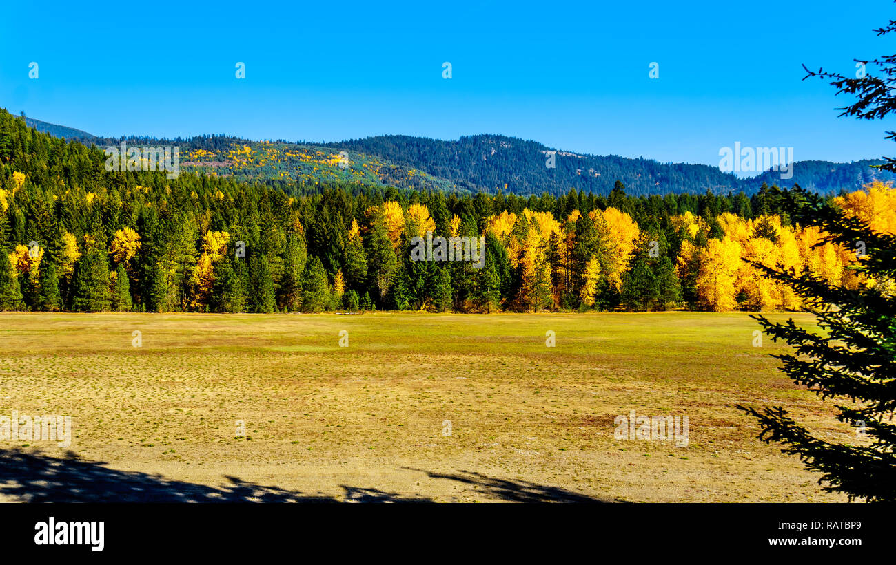 Fall colors north of the town of Boston Bar along the Fraser Canyon ...