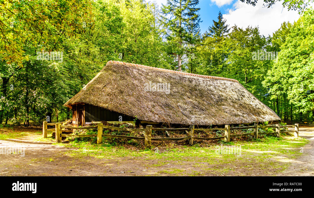 Historic Sheepfold with a thatched roof in the Veluwe Region in the ...